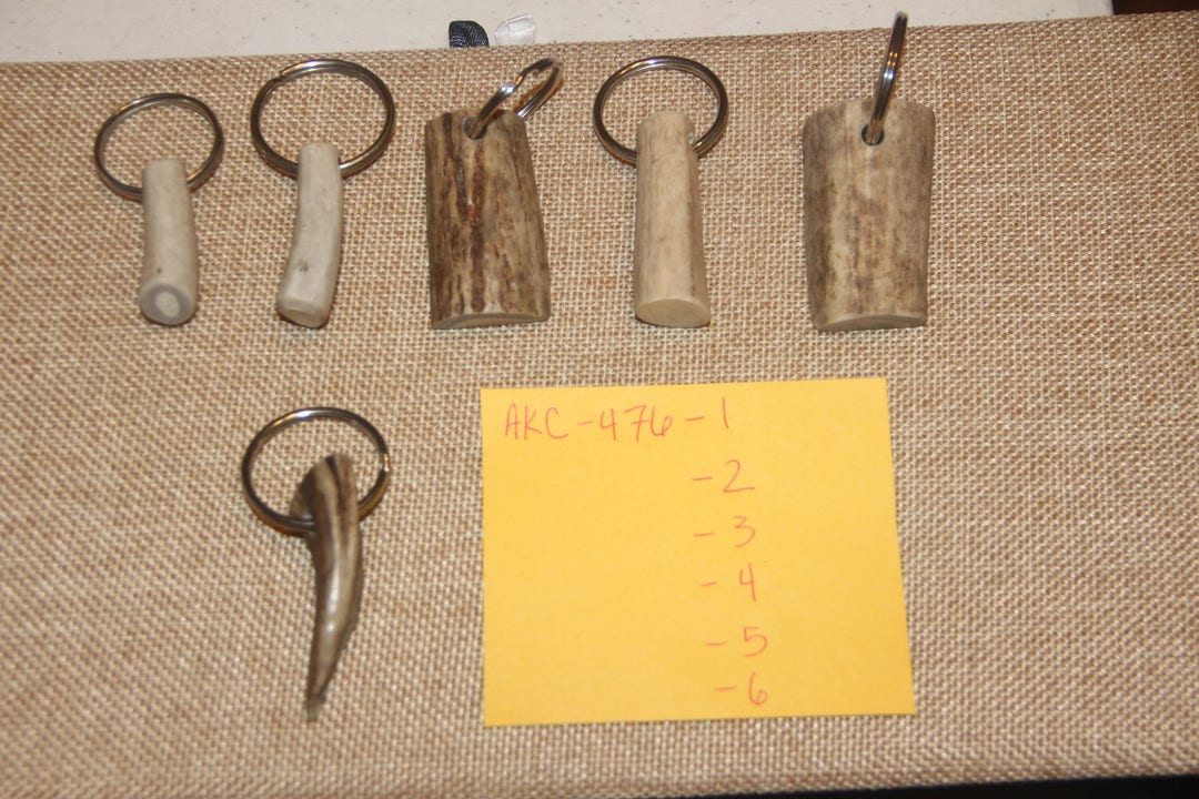Antler Tines Pieces Key Chain Unique Funky Natural Arts Key Chains - Etsy