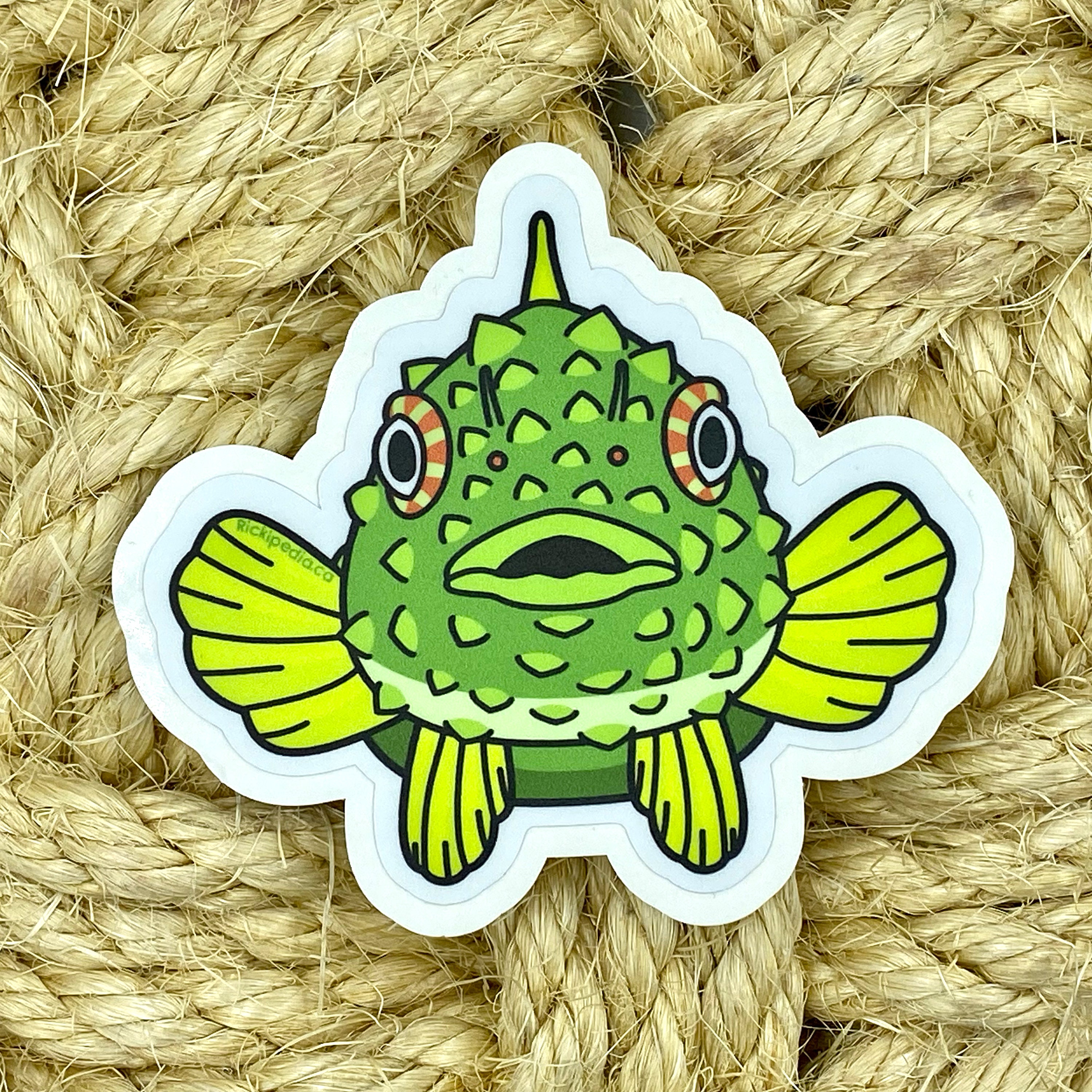 Vinyl Sticker Pacific Spiny Lumpsucker 4.0 - Etsy