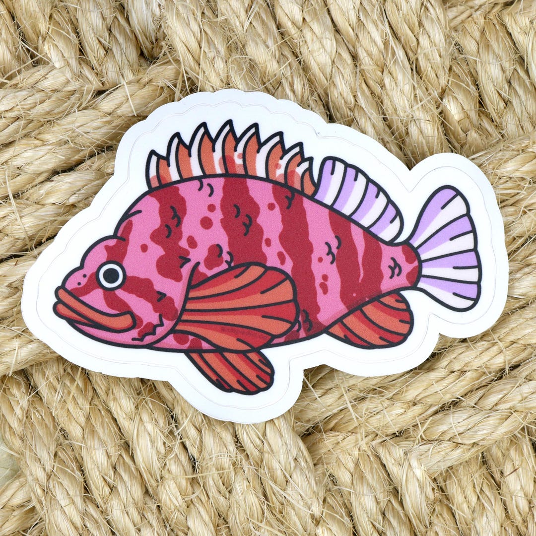 Vinyl Sticker - Tiger Rockfish - 4.0" - Etsy