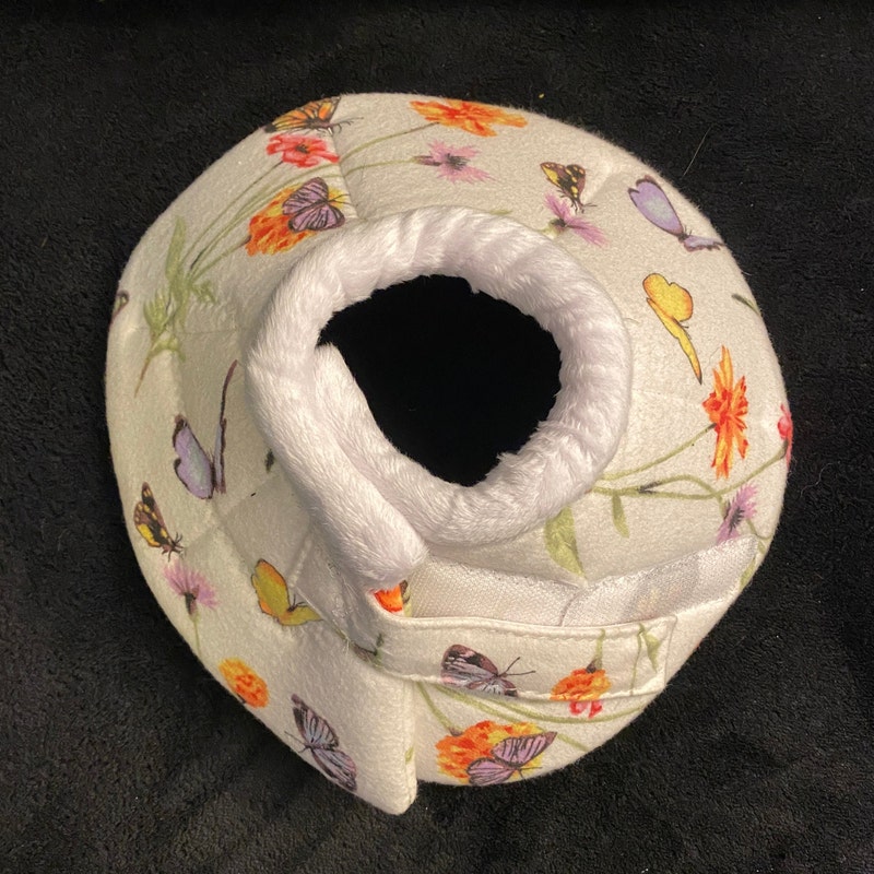 Cat Cone After Surgery - Etsy