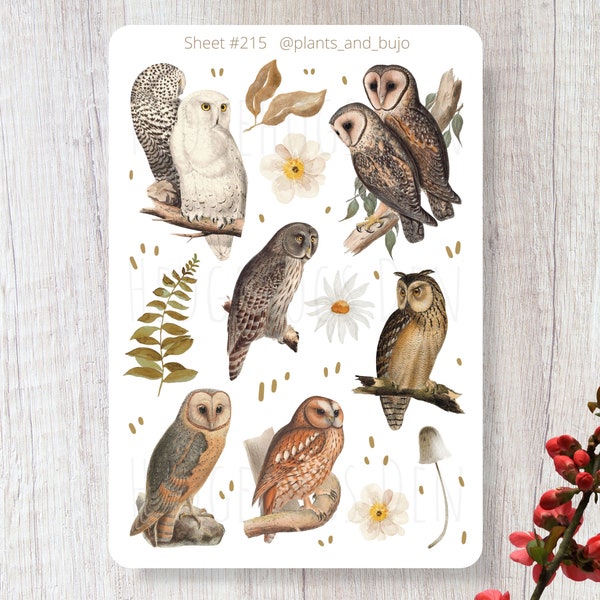 Owl Sticker - Etsy UK