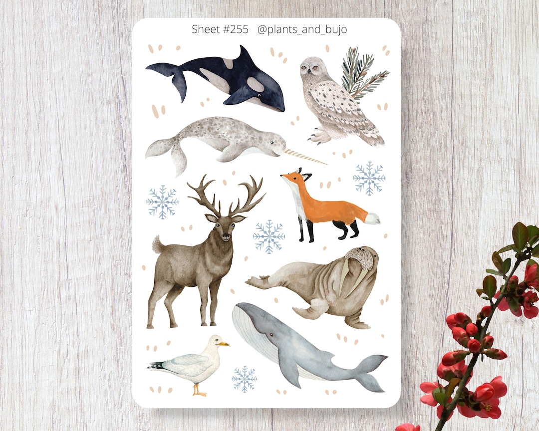 Watercolor Arctic Animal Stickers, Arctic Animals Sticker Sheet ...