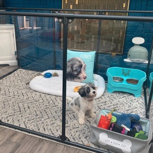 Modern Acrylic Dog Pen: Large Indoor Pet Enclosure - Etsy