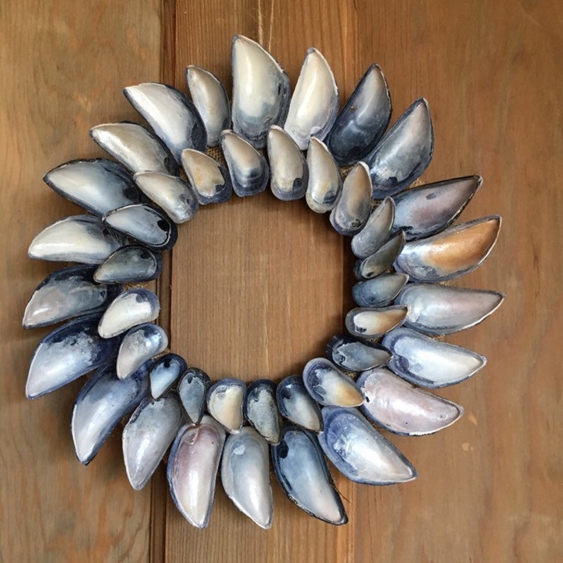 Stunning Mussel Shell Wreath - Etsy UK