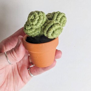 DIY Pattern Macrame 3D Sculpture String of Pearls Instructions, Macrame ...