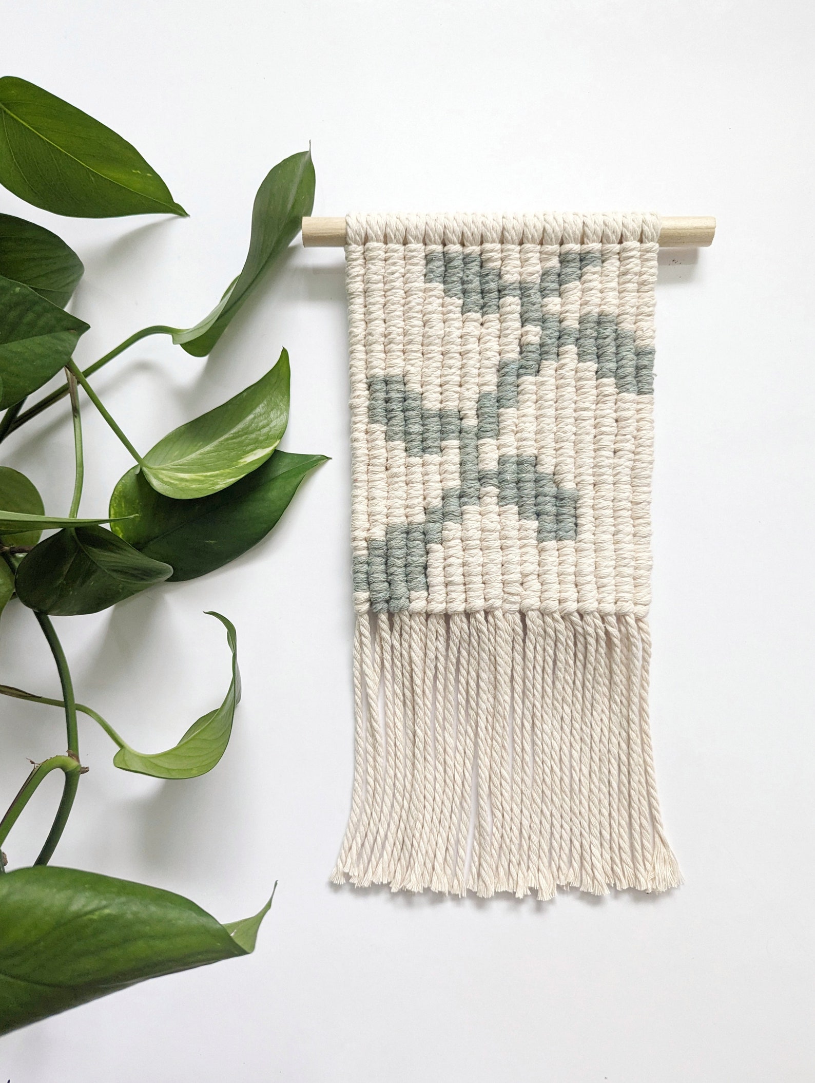 DIY Pixel Macrame Vine and Leaf Pattern, Diy Macrame Pattern, Learn ...