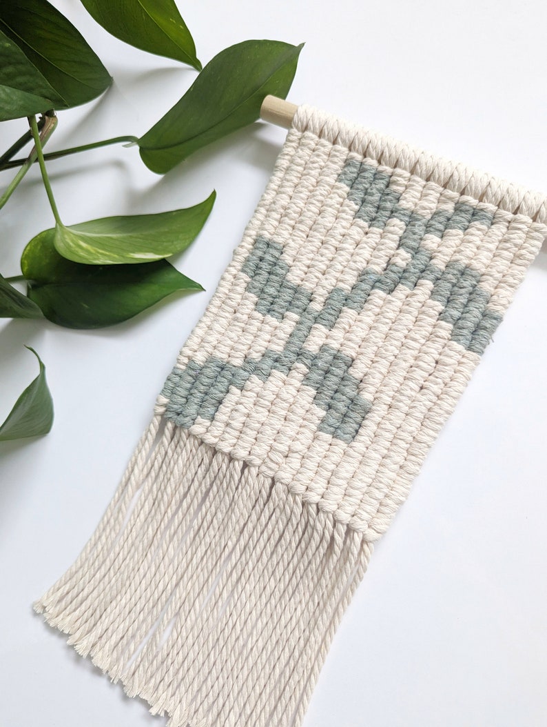 DIY Pixel Macrame Vine and Leaf Pattern, Diy Macrame Pattern, Learn ...