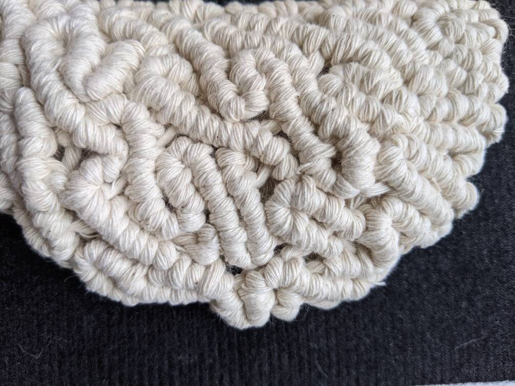 Macrame Brain Anatomical Wall Art | Etsy