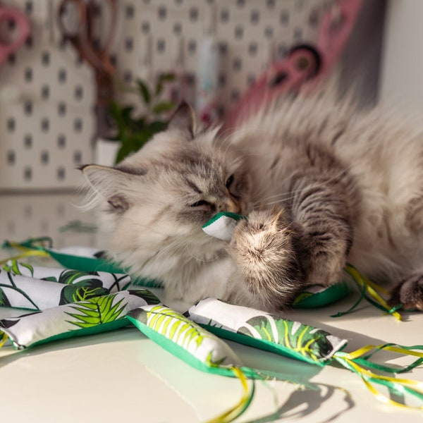 Thanksgiving Cat Toy - Etsy