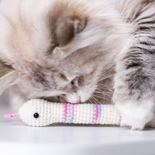 Catnip Snake Cat Toy With Rattle Blue Kicker With Premium - Etsy