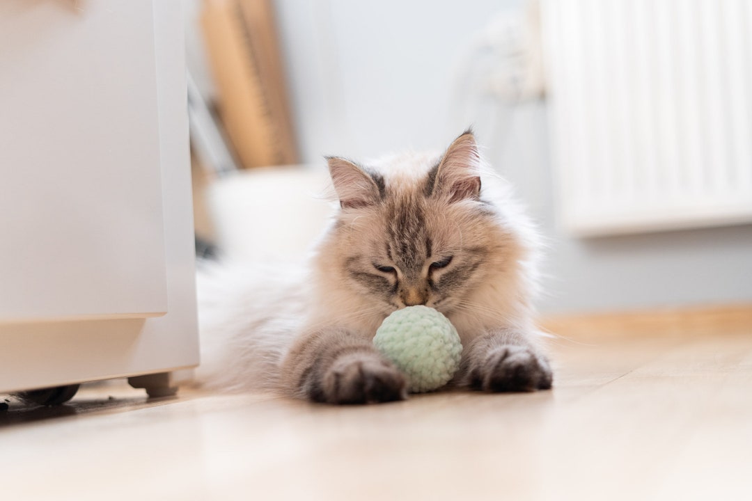 Big Cat Toy Plush Ball With Rattle. Crochet Toys, Catnip Toy, Cats Gift ...