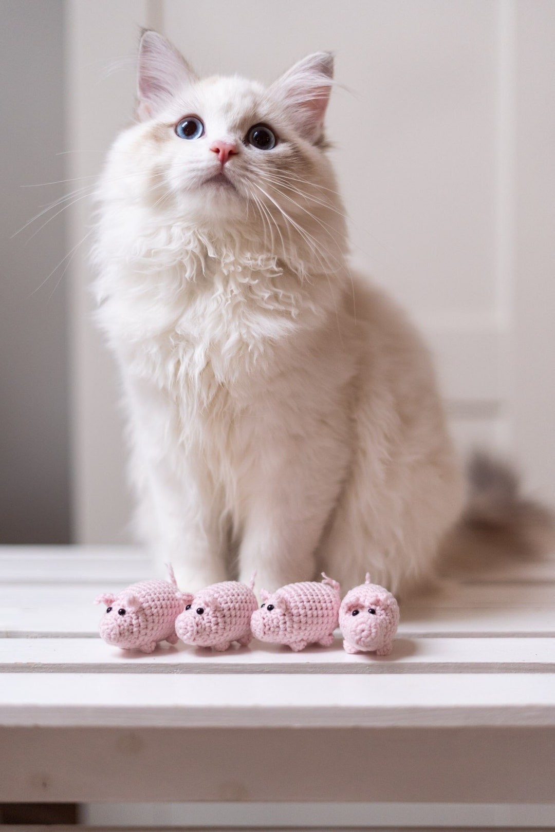 Pig Catnip Cat Toy, Valerian Cat Toy, Crochet Pig Toy, Toys for Cats ...
