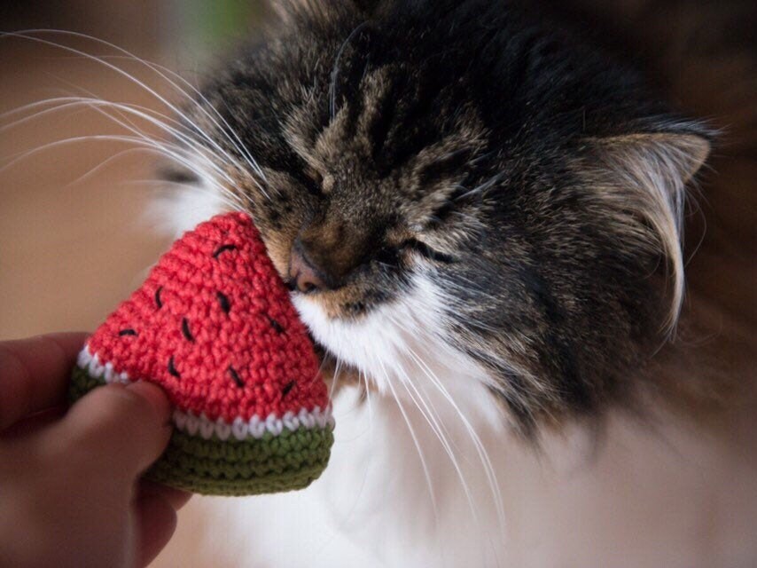 Watermelon Toy, Cat Toy With Catnip, Valerian Cat Toy, for Cat, Cute ...