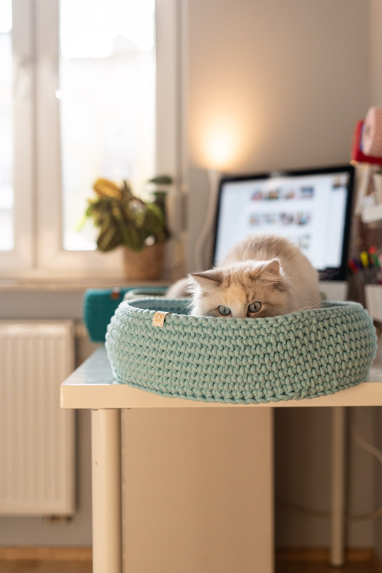 Cat Nest 4 Colours. Cotton Cat Cave Crochet Cave Cat - Etsy