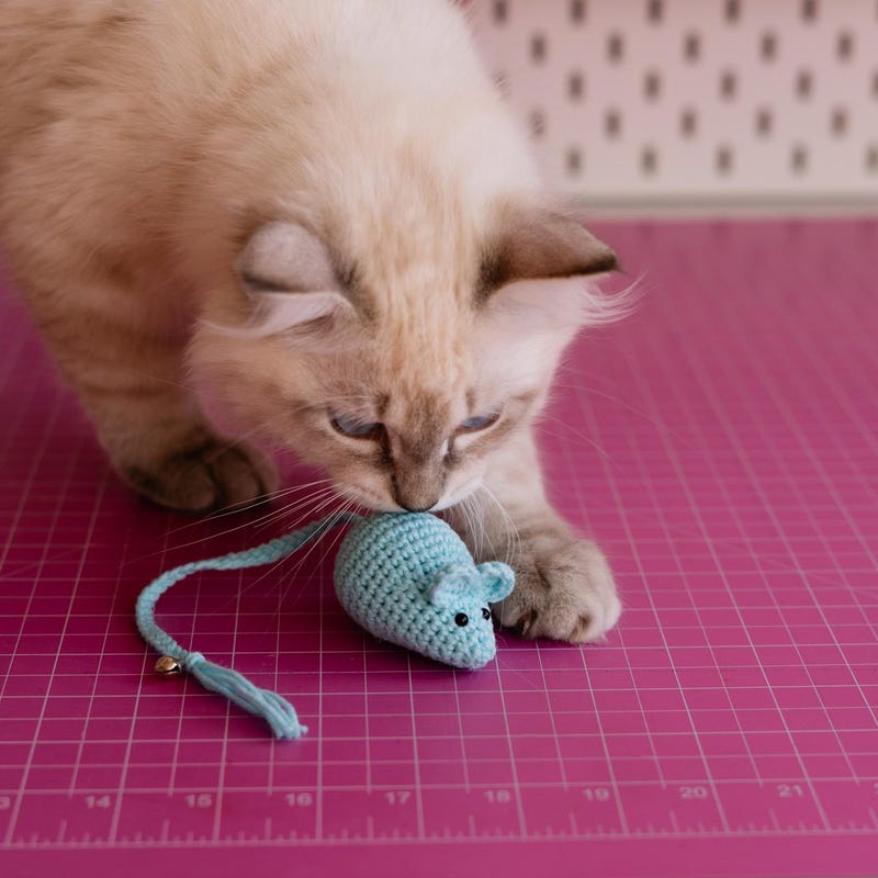 Mouse Toy - Etsy