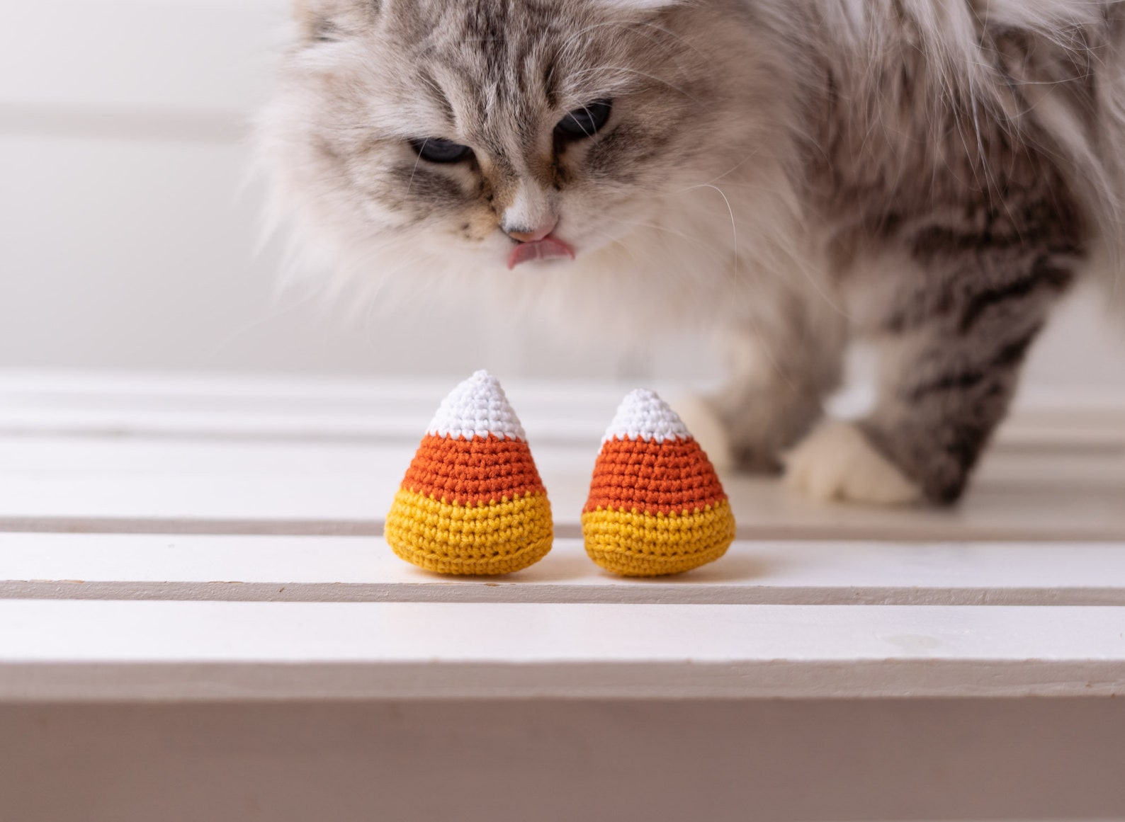 Candy Corn Catnip Cat Toy Halloween Toy With Catnip - Etsy