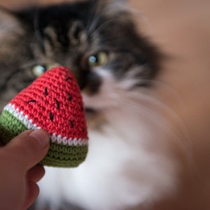 Watermelon Toy, Cat Toy With Catnip, Valerian Cat Toy, for Cat, Cute ...