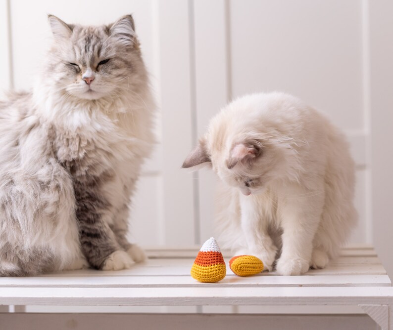 Candy Corn Catnip Cat Toy Halloween Toy With Catnip - Etsy