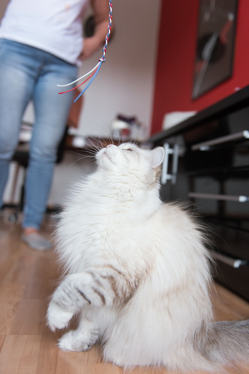 String & Suede Cat Wand Cat Fishing Pole Cat Toy With - Etsy