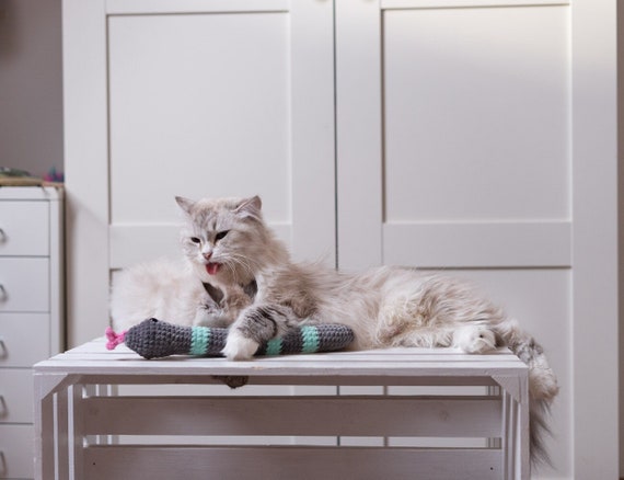 Boa Catnip Kicker Snake Cat Toy Catnip Snake Cat Toys | Etsy