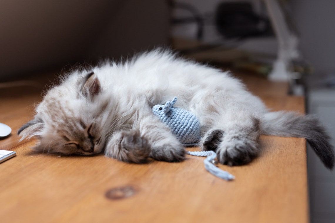 Classic Mouse With Catnip Cat Toys Mouse for Cat Cat Toy - Etsy