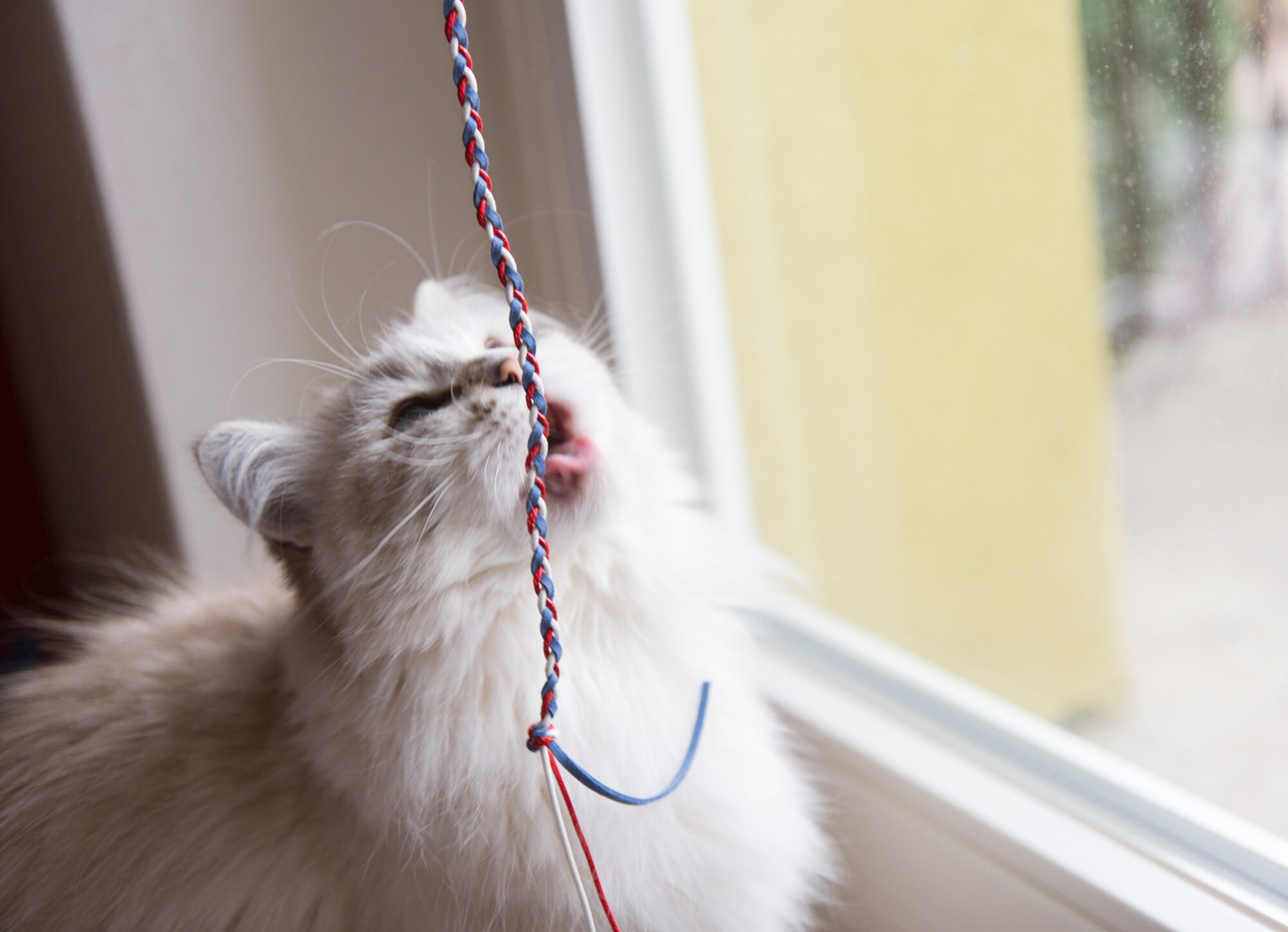 String Cat Wand Wooded Pole. Cat Fishing Pole With Colorful | Etsy