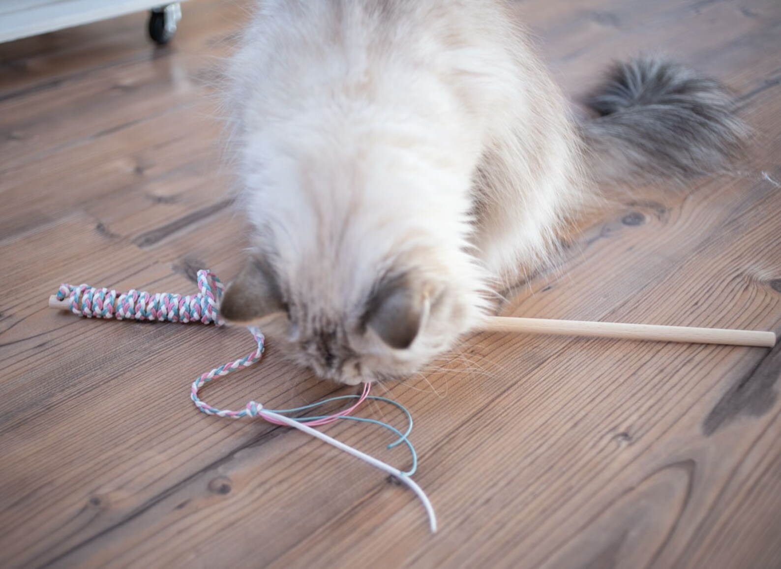 Cat Toy Wand Strings Cat Fishing Pole. High Quality Handmade | Etsy