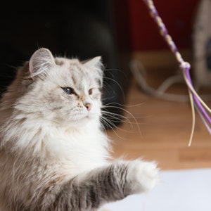 String & Suede Cat Wand With Wooded Pole. Cat Fishing Pole With Mint ...