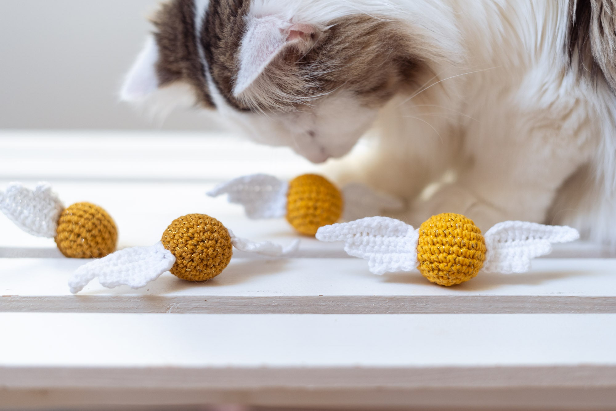 HP Catnip Cat Toy With Wings. Golden Magical Toy With Rattle. - Etsy