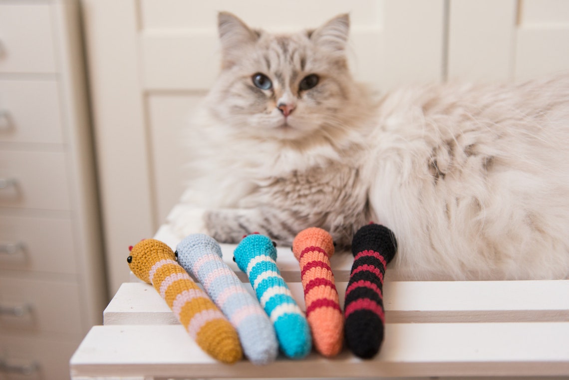 Catnip Snake Cat Toy With Rattle Blue Kicker With Premium - Etsy