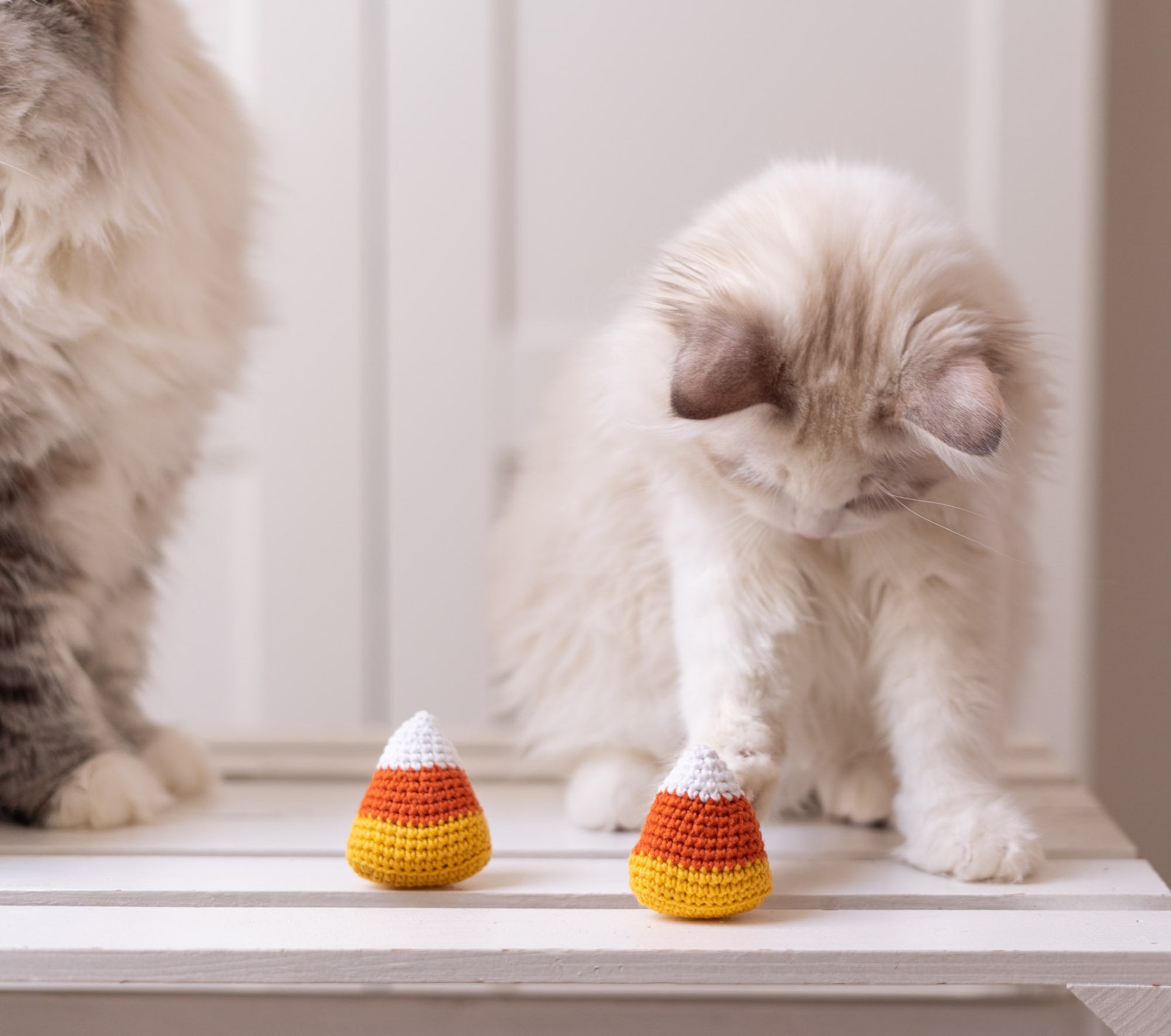 Candy Corn Catnip Cat Toy Halloween Toy With Catnip - Etsy