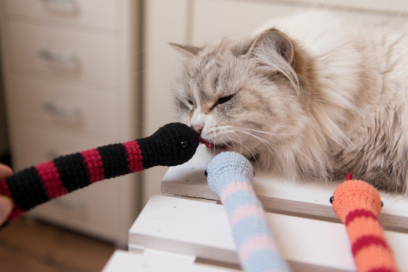 Catnip Snake Cat Toy With Rattle Black Kicker With Premium - Etsy