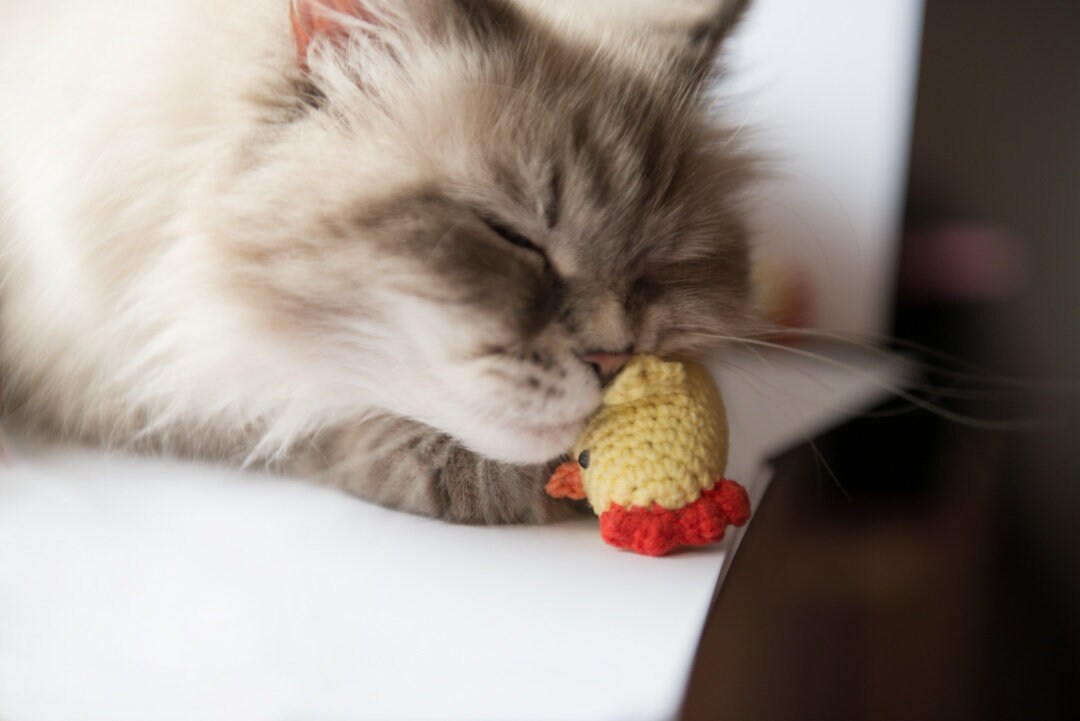 Chicken Cat Toys With Catnip, Filled With Valerian. Small Yellow Chick ...