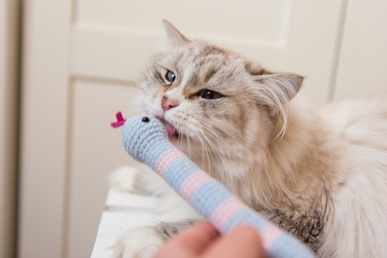 Catnip Snake Cat Toy With Rattle Blue Kicker With Premium - Etsy