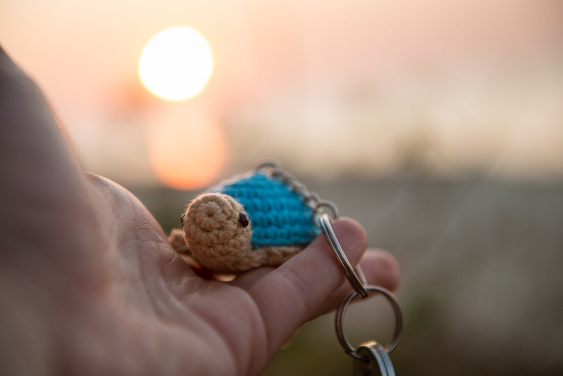 Turtle Keychain Baby Turtle Crochet Keychain Blue Turtle | Etsy