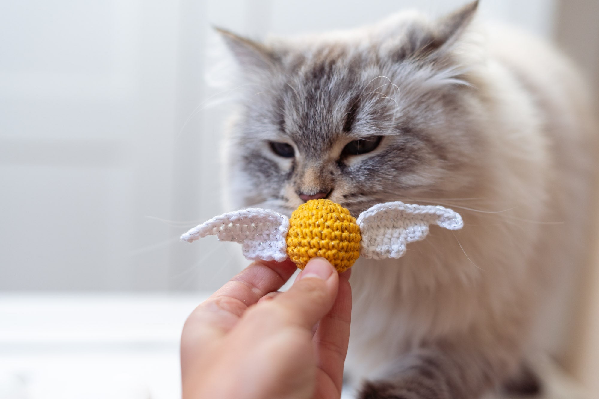 HP Catnip Cat Toy With Wings. Golden Magical Toy With Rattle. - Etsy