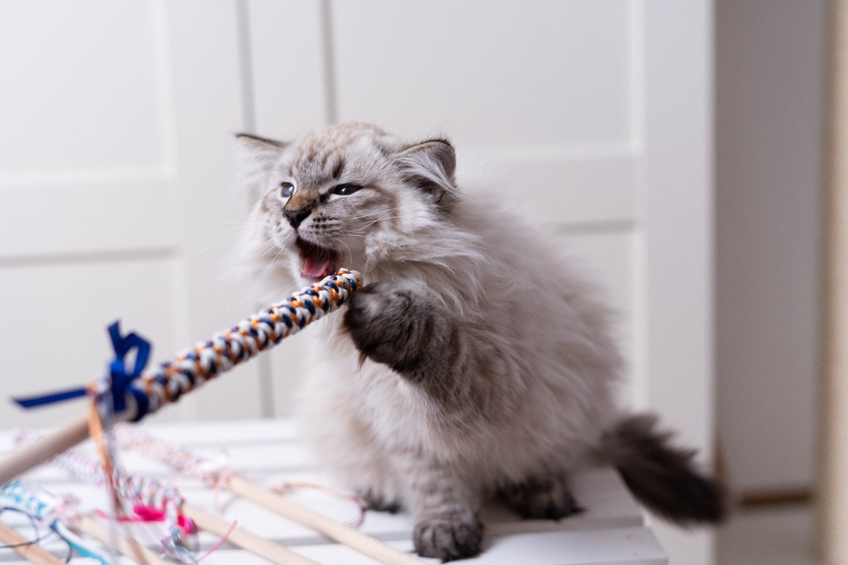 String & suede cat Wand Cat fishing pole cat toy with | Etsy