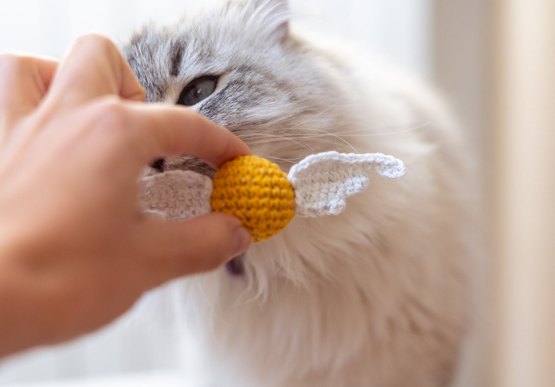 HP Catnip Cat Toy With Wings. Golden Magical Toy With Rattle. - Etsy
