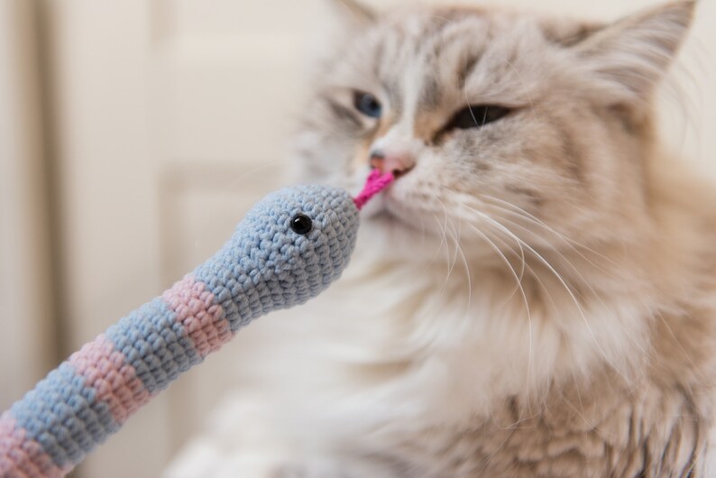 Catnip Snake Cat Toy With Rattle Blue Kicker With Premium - Etsy