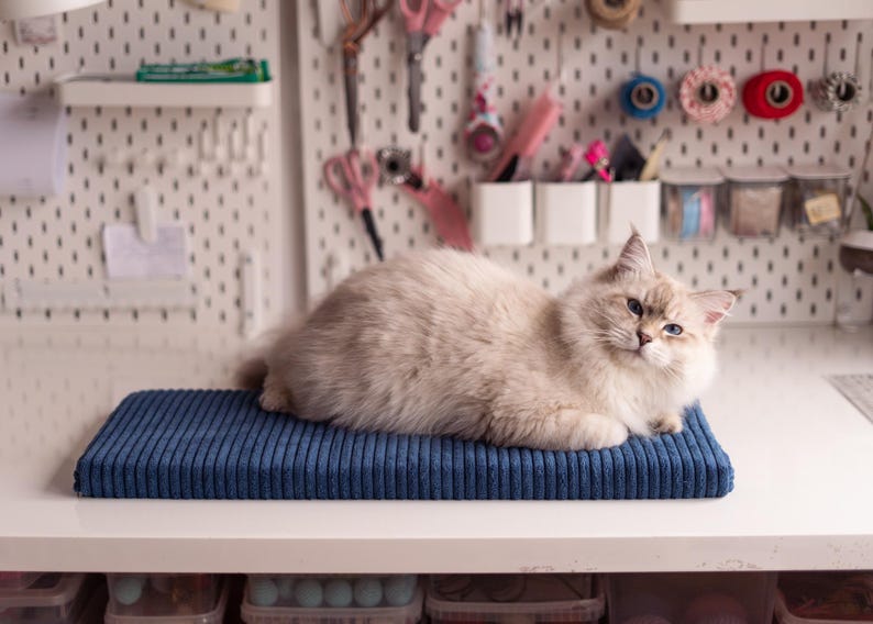 Cat Window Sill Bed, Cat Bed for Window, Window Mat for Cats, Window ...