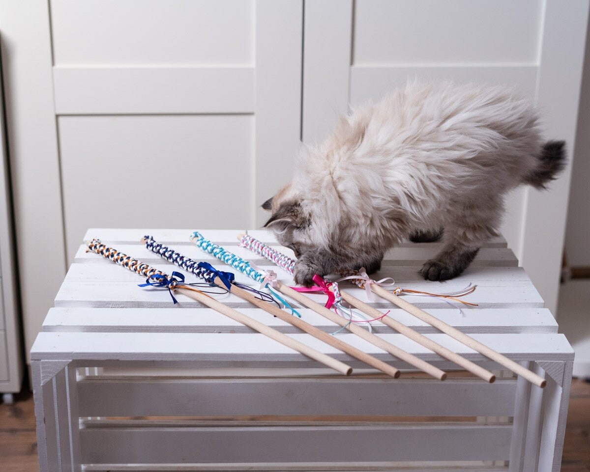 String & suede cat Wand Cat fishing pole cat toy with | Etsy