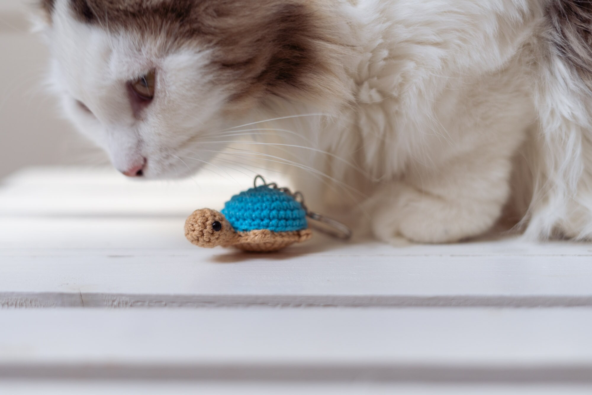Turtle Keychain Baby Turtle Crochet Keychain Blue Turtle | Etsy