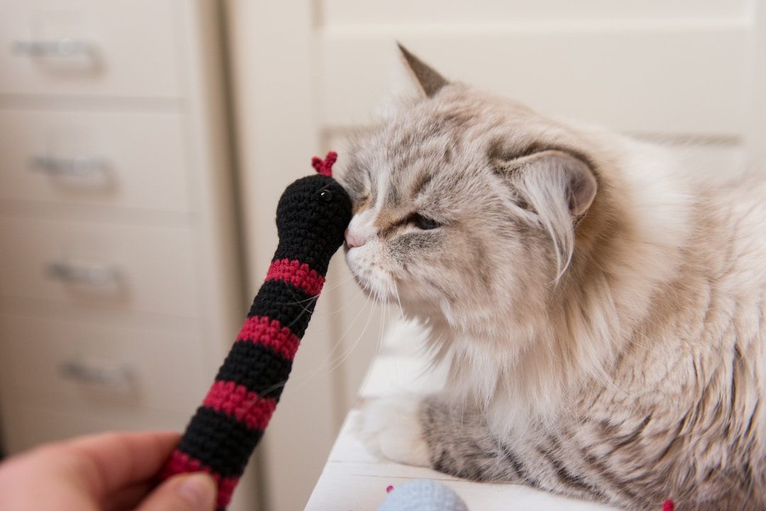 Catnip Snake Cat Toy With Rattle, Black Kicker With Premium Catnip and ...