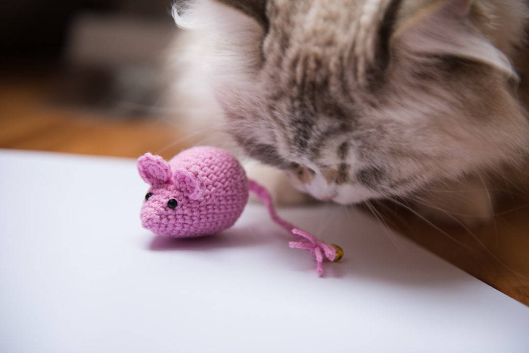 Crochet Catnip Mouse Toy: Pink Amigurumi Kitten Toy With Bell - Etsy