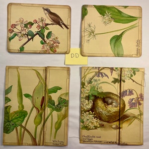 Edith Holden Ephemera, Edith Holden Tags, Edith Holden Pockets, Spring ...