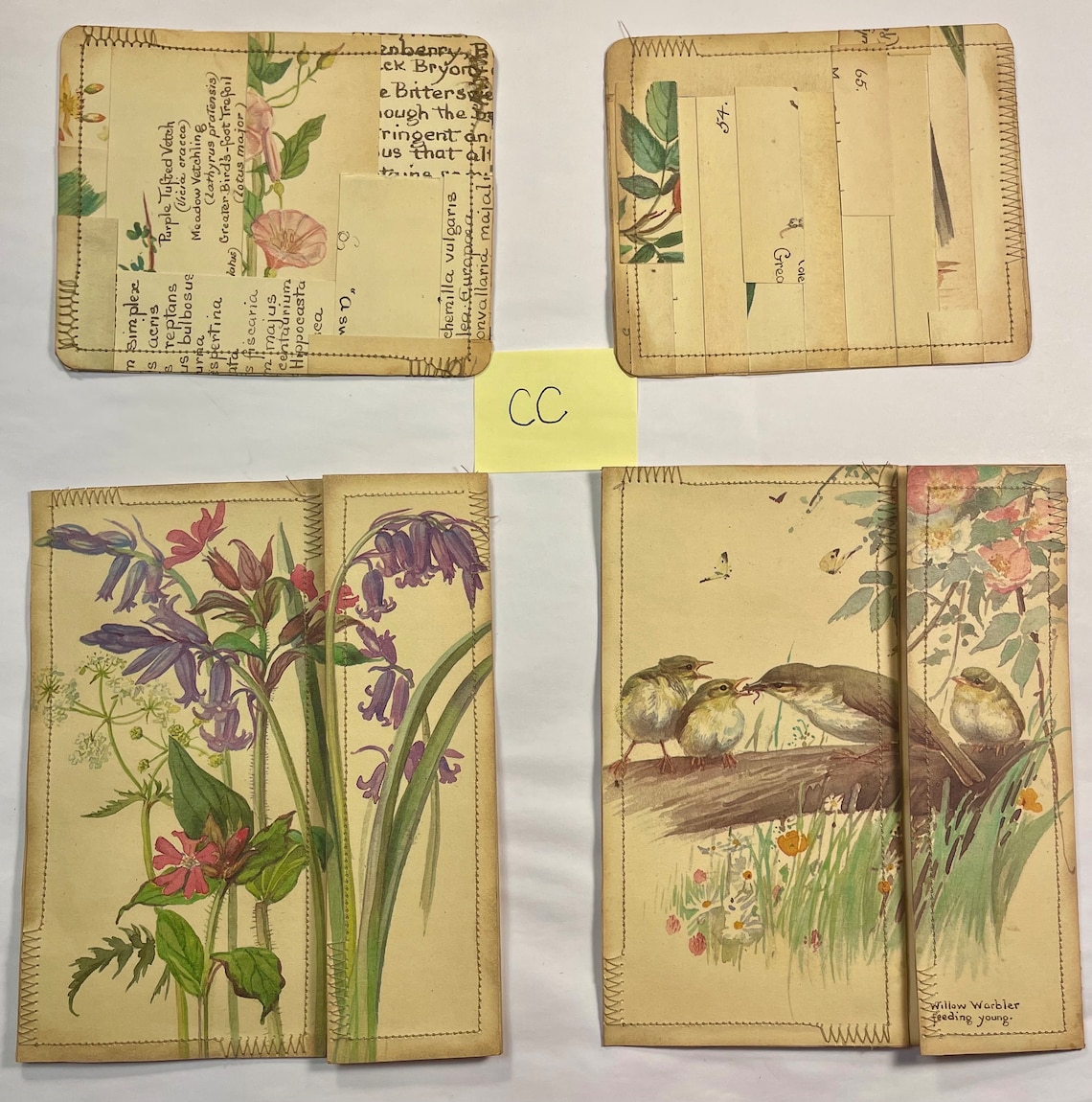 Edith Holden Ephemera, Edith Holden Tags, Edith Holden Pockets, Spring ...