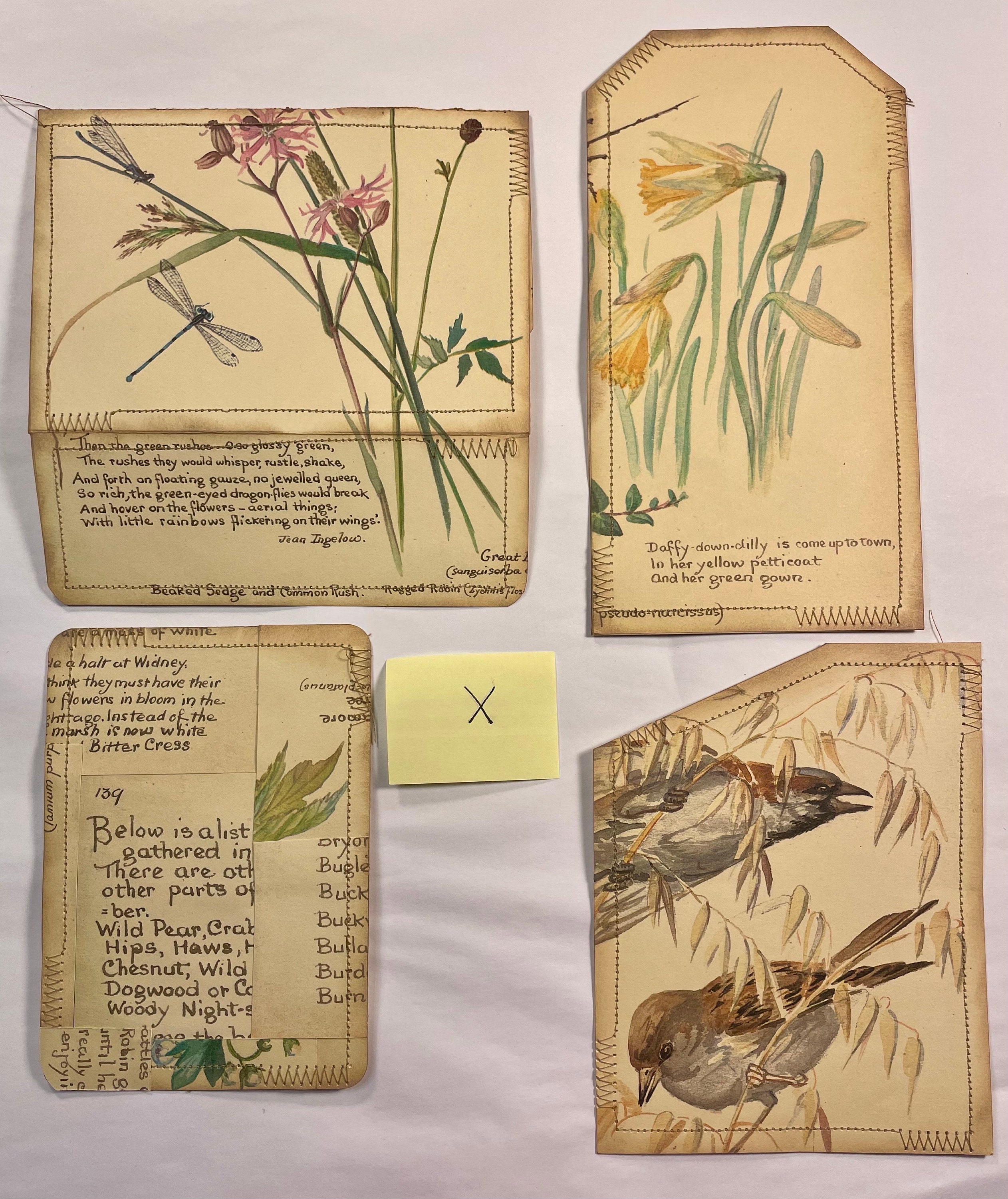 Edith Holden Ephemera, Edith Holden Tags, Edith Holden Pockets, Spring ...
