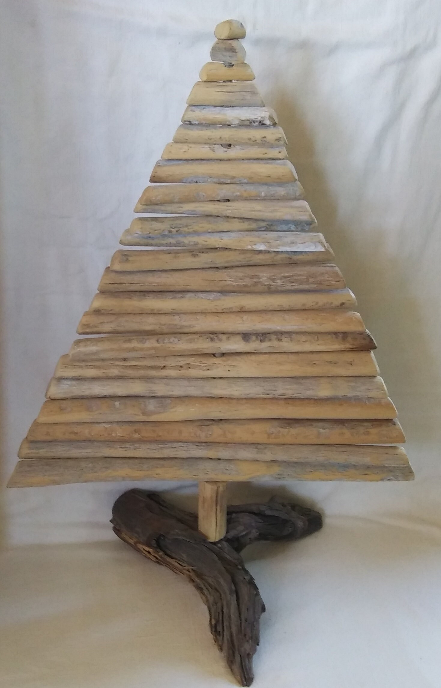 Saguaro Rib Tree - Etsy