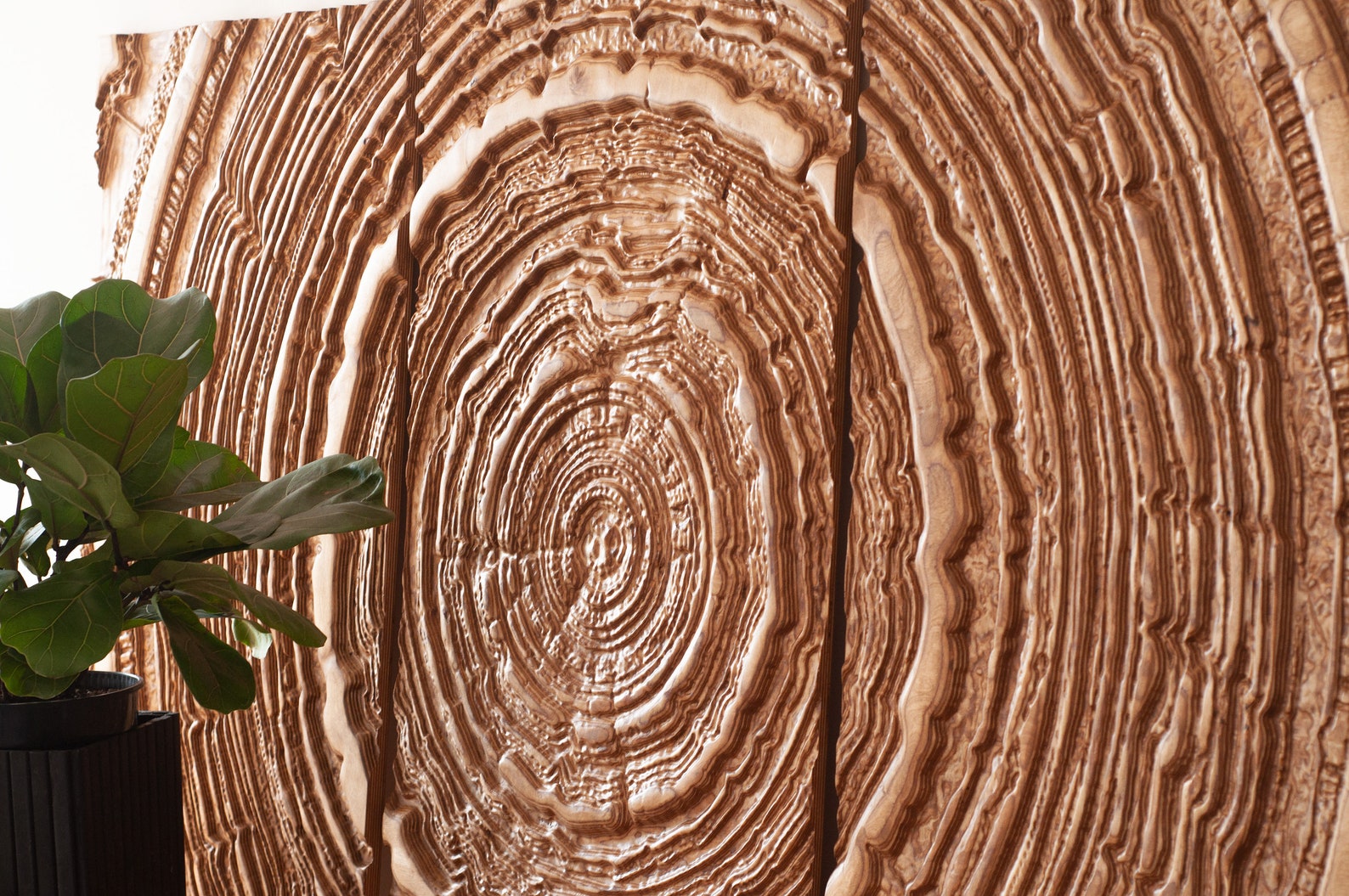 Wood Trunk Triptych Wall Art, Natural Birch Veneer Sculpture, Modern ...
