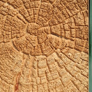 3d Panel "wood" With Natural Relief, Original Decor on the Wall, Wood ...